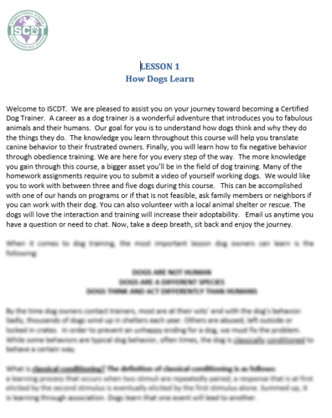 Certified Dog Trainer - Proficient Skill & Comprehension - Online Dog ...