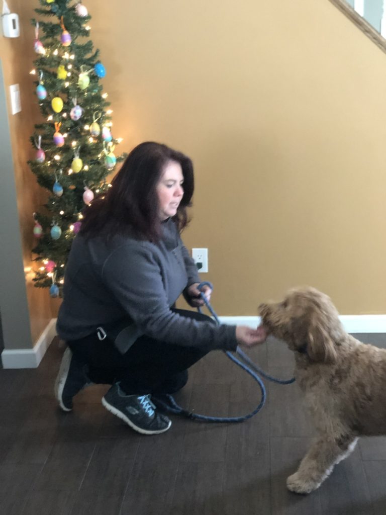 Know A Dog Who Fears Family Members? 10 Helpful Ideas - Online Dog ...